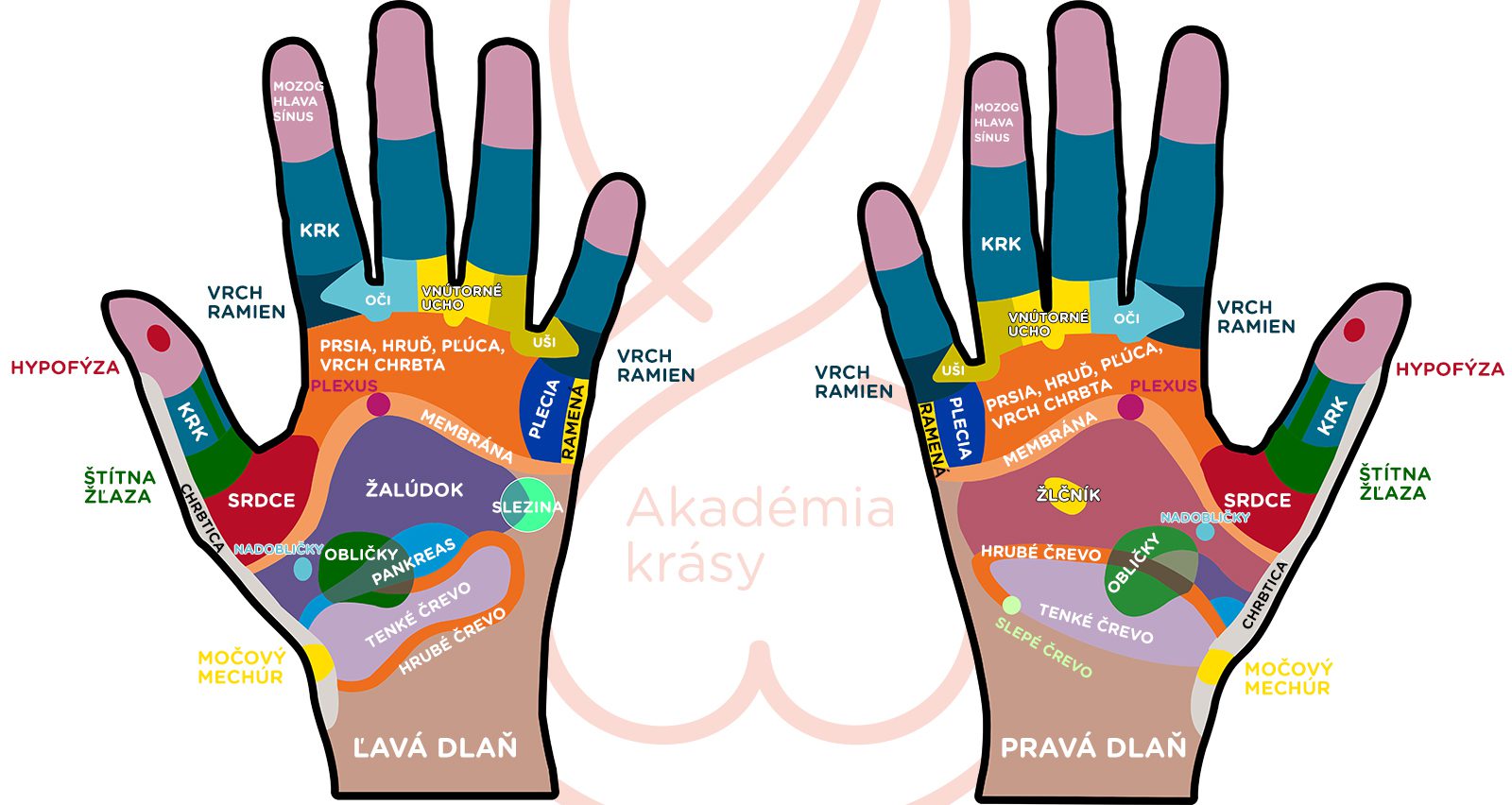 Reflexná masáž ruky - ako na to • Akadémia krásy